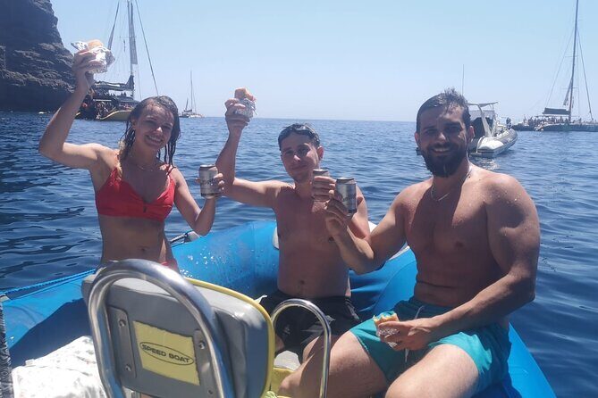 SEA SAFARI Dolphins, Whales, 3h speedboat DISCOVERY-TOUR - The Sum Up