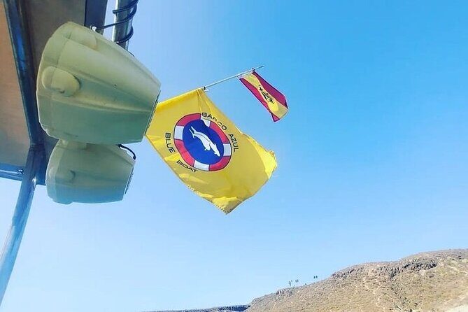 SEA SAFARI Dolphins,Whales, snorkeling, snack, drink, 3h private - Who Will Love This Tour?