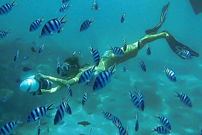 Sea Scooter Snorkel Tour - Lagoon Discovery : Wrecks, Coral Gardens and Tropical Fishies - A Closer Look at the Lagoon Discovery Sea Scooter Tour  