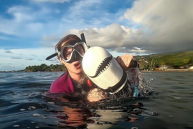 Sea Scooter Snorkel Tour - Lagoon Discovery : Wrecks, Coral Gardens and Tropical Fishies - Who Will Love This Tour?  