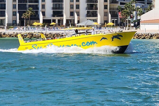 Sea Screamer Clearwater's Only Speed Boat Dolphin Watching - Introduction: The Sea Screamer Experience