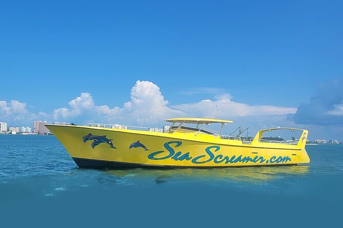 Sea Screamer Clearwater's Only Speed Boat Dolphin Watching - An In-Depth Look at the Sea Screamer Dolphin Tour