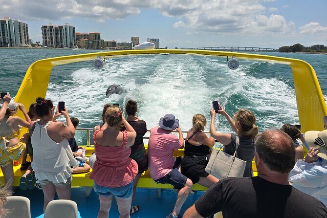 Sea Screamer Clearwater's Only Speed Boat Dolphin Watching - What to Know Before You Go