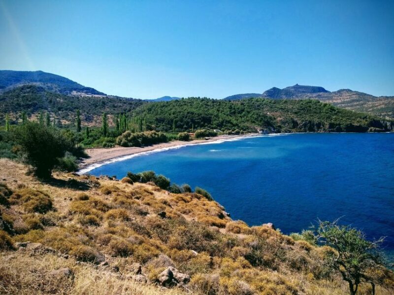 Sea, Sun and Swimming Cruise from Mytilene - Key Points  