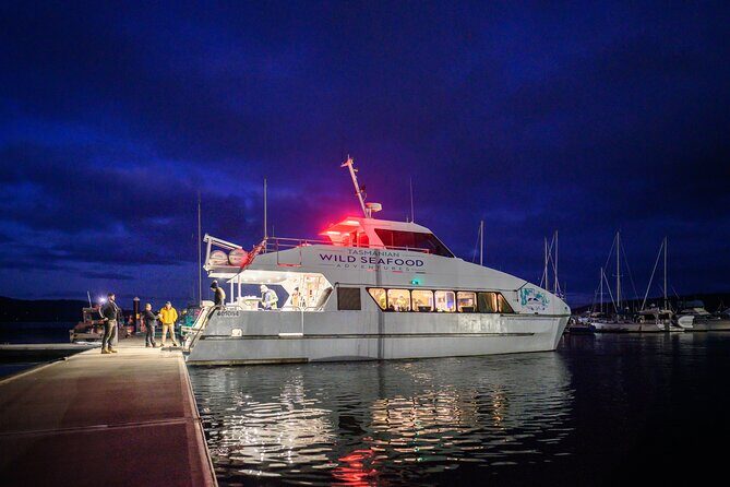 Sea to Sky Dark Sky Cruise Experience in Tasmania - Key Points