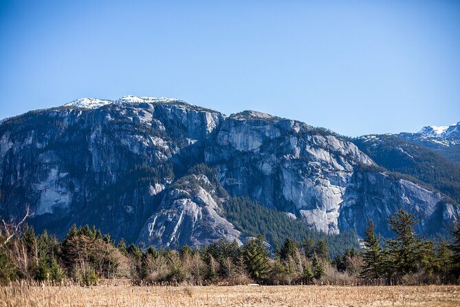 Sea to Sky Discovery Tour - Value and Pricing