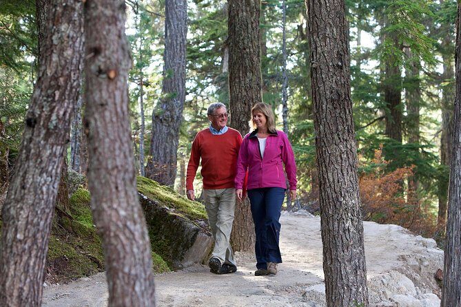 Sea to Sky Gondola Ticket - Authentic Insights from Reviews