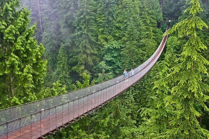 Sea to Sky Highway Self-Guided Driving Audio Tour - Practical Details That Matter