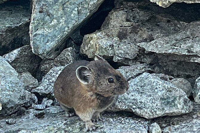 Sea to Sky Hiking Adventure - Authentic Insights from the Field