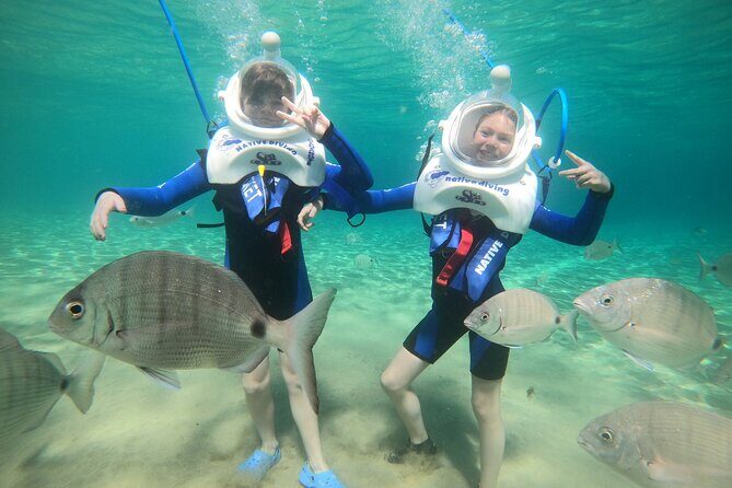 Sea Trek Underwater Walk in Tenerife  No Swimming Required - The Sum Up