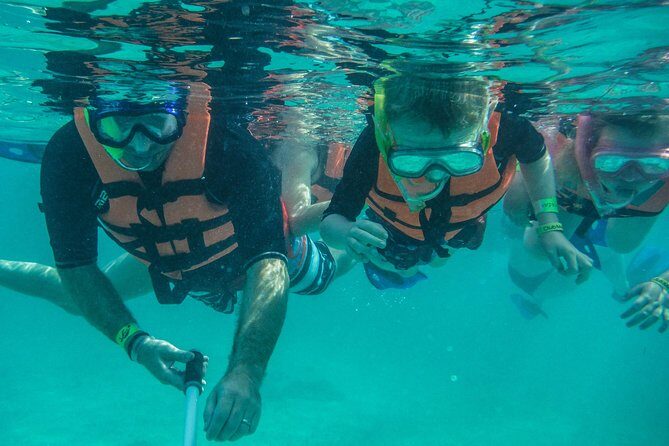 Sea Turtle Snorkeling Ecofriendly Tour from Cancun & Riviera Maya