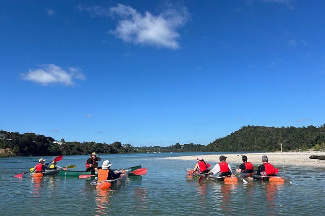 Sea Your Bottom. Clear Bottom Kayak Adventure - What Is the Sea Your Bottom Kayak Adventure?