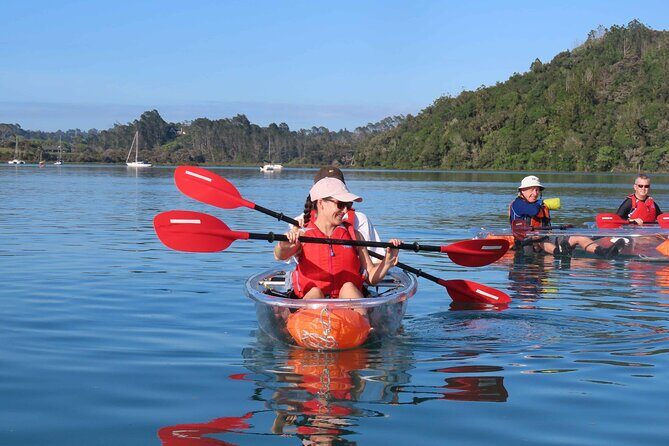 Sea Your Bottom. Clear Bottom Kayak Adventure - What’s Included and What’s Not?