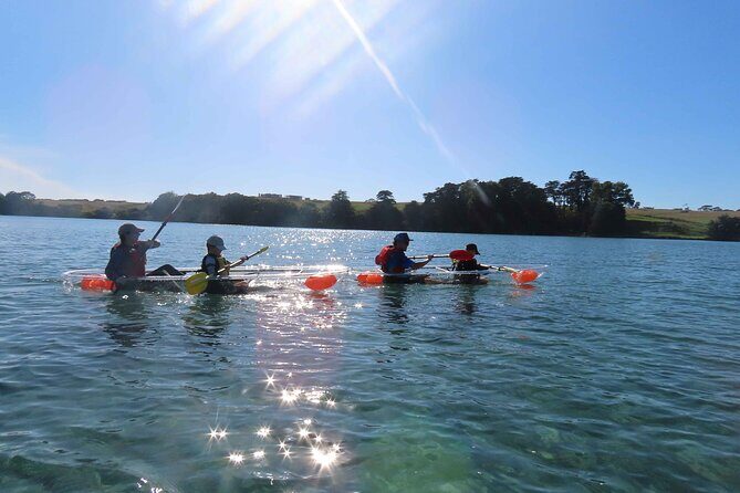 Sea Your Bottom. Clear Bottom Kayak Adventure - The Group Experience and Personal Touches