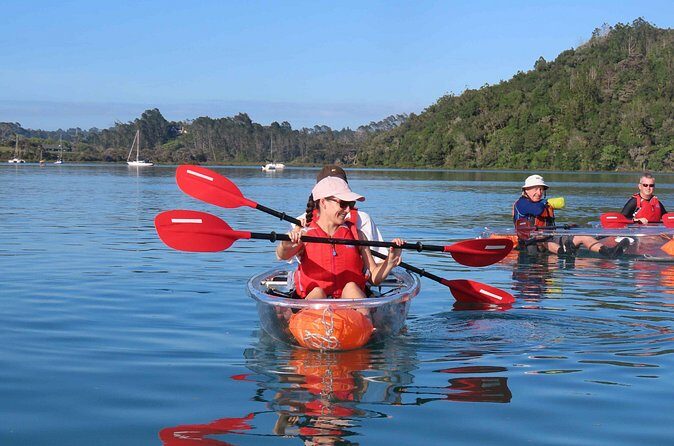 Sea Your Bottom. Clear Bottom Kayak Adventure - Pricing and Value Analysis