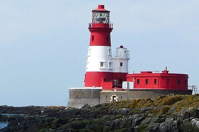Seabird & Seal Farne Islands Cruise. 1.5 hours long. Departing from Seahouses. - Final Thoughts: Is It Worth It?