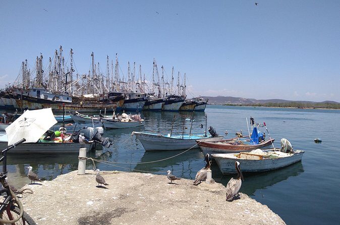 Seafood Secret Tour in Mazatlan - FAQ