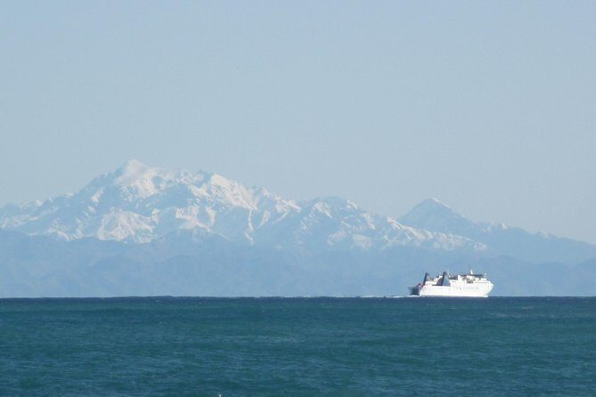 Seal Coast Safari - Exclusive access to Wellington's secret coast - Practical Details and Considerations