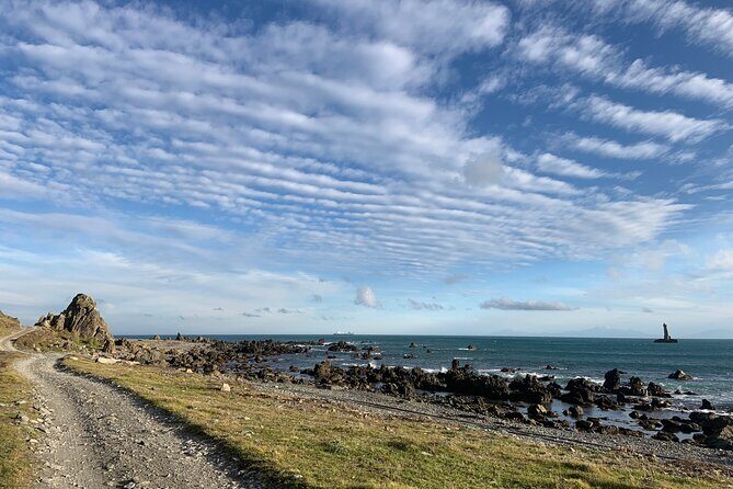 Seal Coast Safari - Exclusive access to Wellington's secret coast - Final Thoughts
