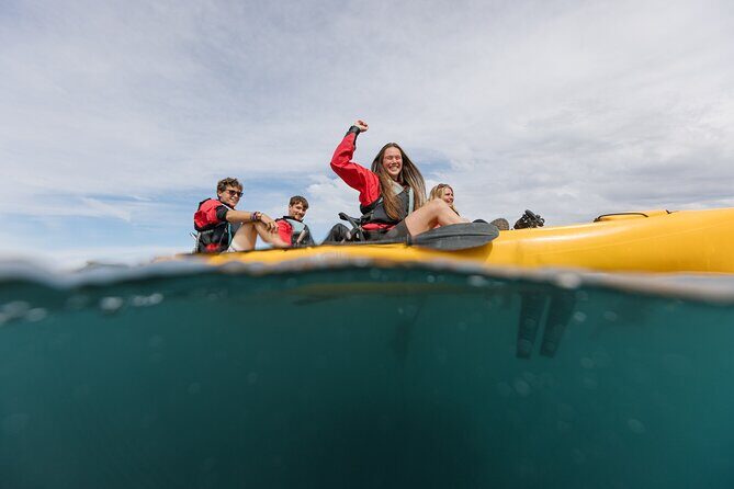 Seal Kayaking Adventure in Kaikoura - What’s Included