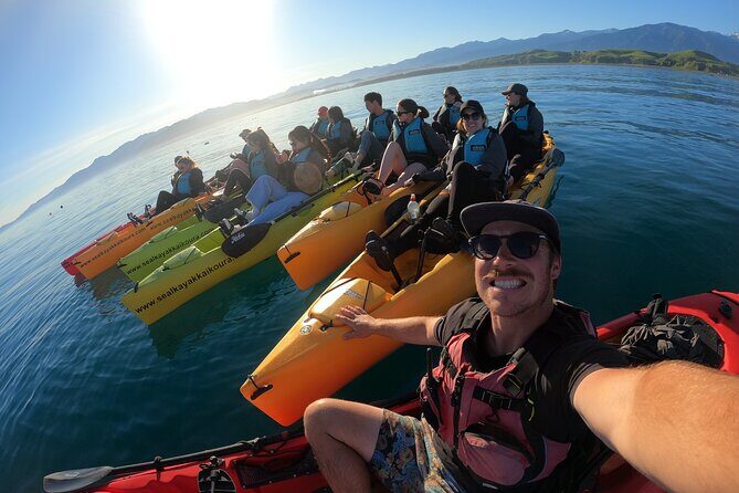 Seal Kayaking Adventure in Kaikoura - Final Thoughts: Who Should Consider This Tour?