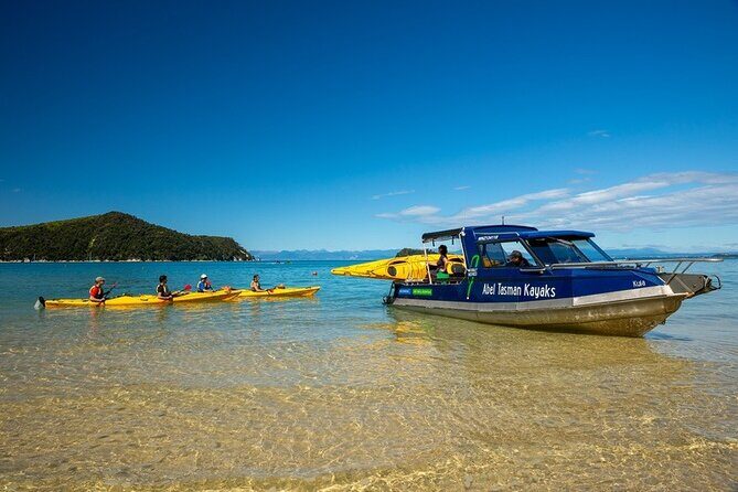 Seal Sanctuary Tour - Guided Kayaking - New Zealand - The Practicalities: Costs, Duration & What to Know