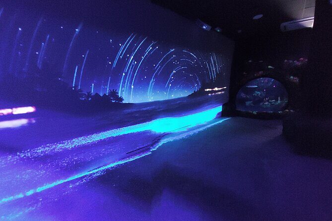 Sealife Benalmadena Entrance Ticket - Who Will Enjoy This Tour?