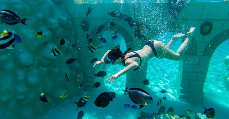 Seapark: Swimming in Pool Aquarium with Authentic Creatures - Encountering Marine Creatures Up Close