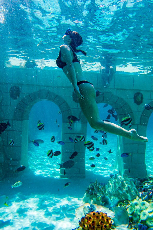 Seapark: Swimming in Pool Aquarium with Authentic Creatures - Relaxation and Additional Attractions