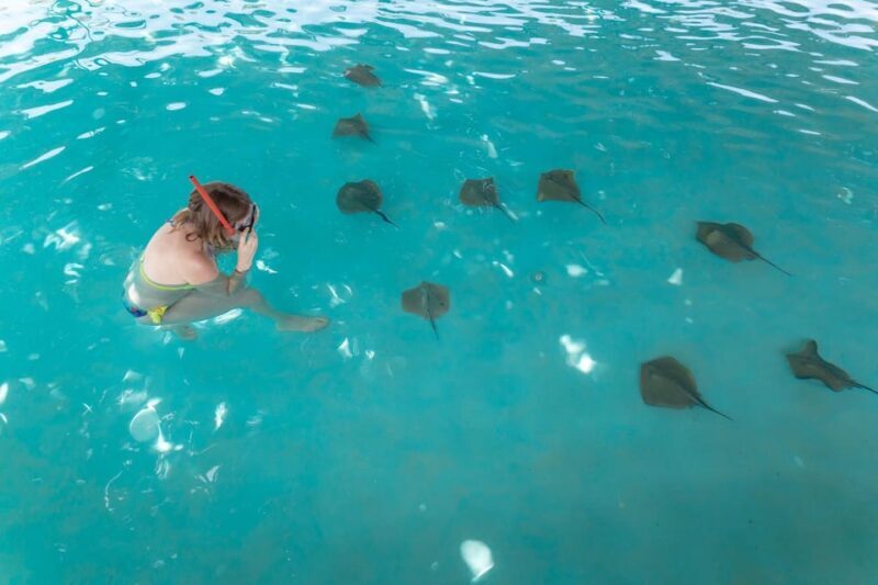 Seapark: Swimming in Pool Aquarium with Authentic Creatures - Adrenaline-Fueled Experiences