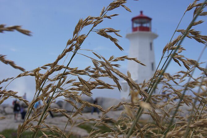 Seascape Excursions of Nova Scotia - Why This Tour Stands Out