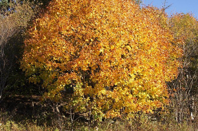 Seascape Excursions of Nova Scotia - The Sum Up