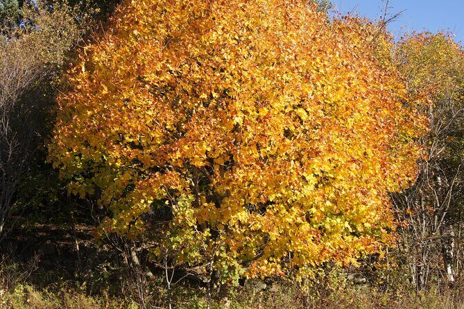 Seascape Excursions of Nova Scotia - FAQ