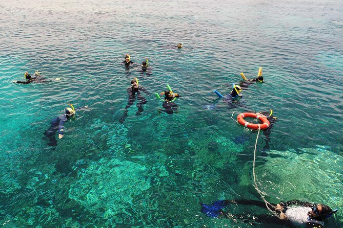 Seastar Luxury Outer Great Barrier Reef Island and Reef Tour - An In-Depth Look at the Seastar Luxury Outer Reef Tour