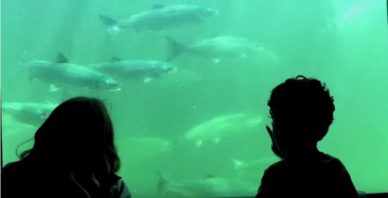 Seattle: 3 Hour Emerald City Standard Bike Tour - Authentic Experiences Highlighted in Reviews