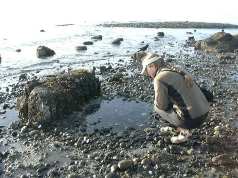 Seattle: Alki Lighthouse Sea Kayak Tour - Exploring the Itinerary and Experience in Depth