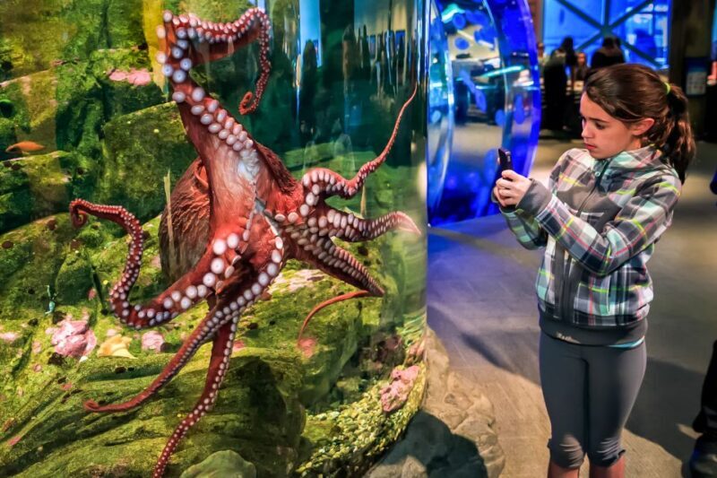 Seattle CityPASS®: Save up to 46% at 5 Top Attractions - Practical Tips for Making the Most of Your CityPASS®