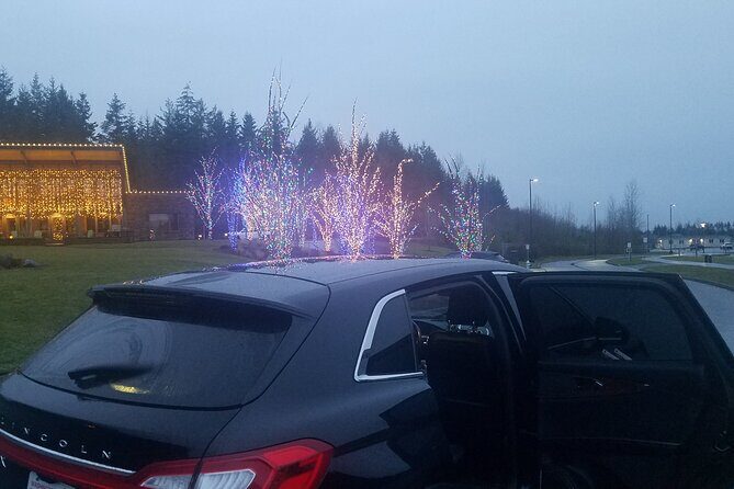 Seattle Cruise Port and Downtown Hotel One Way Transfers - Real Traveler Experience