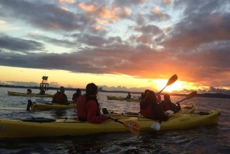 Seattle: West Seattle Sunset Sea Kayak Tour - Key Points