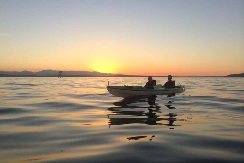 Seattle: West Seattle Sunset Sea Kayak Tour - Final Thoughts