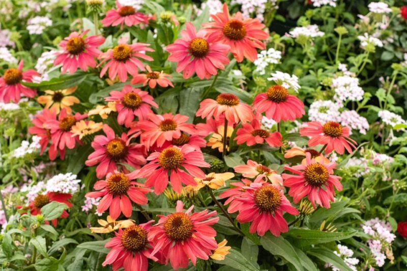 Secret Gardens of London Private Tour - A Detailed Look at the Itinerary