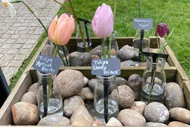 Secret Gardens of London Private Tour - Final Thoughts