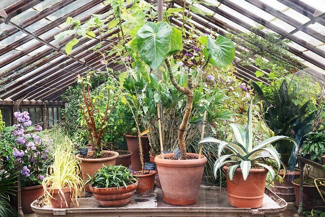 Secret Gardens of London Private Tour - FAQs