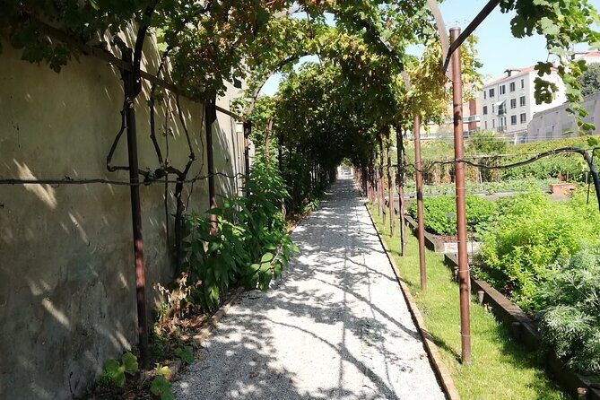 Secret Gardens of Venice Walking Tour - Final Thoughts