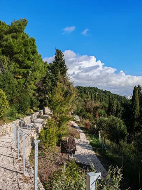 Secret Marjan Park Hiking Tour in Split - The Scenic Highlights and Photo Opportunities