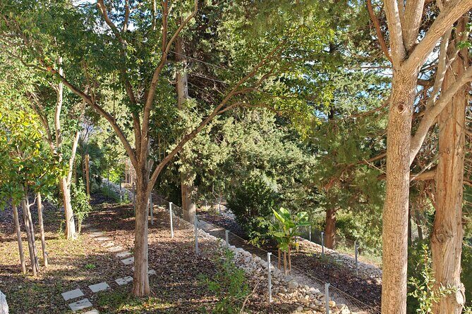 Secret Marjan Park Hiking Tour in Split - FAQ