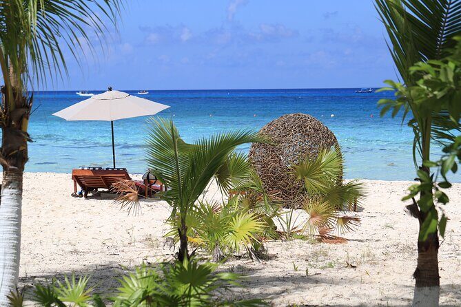 Secret Palancar Beach Experience - Why the Food and Beverage Offerings Matter