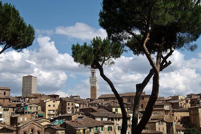 Secret Siena Walking Tour - An In-Depth Look at the Secret Siena Experience