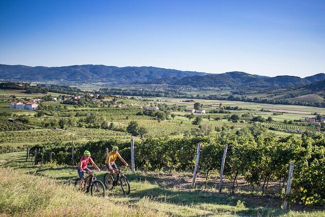Secret vineyards E-bike tour - A Closer Look at the Secret Vineyards E-bike Tour