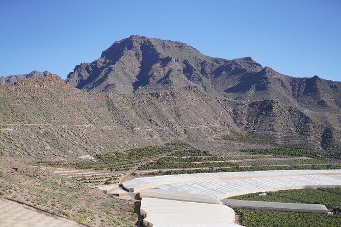 Secret Volcano Tour by Tuk Tuk in Costa Adeje - Transport and Group Size